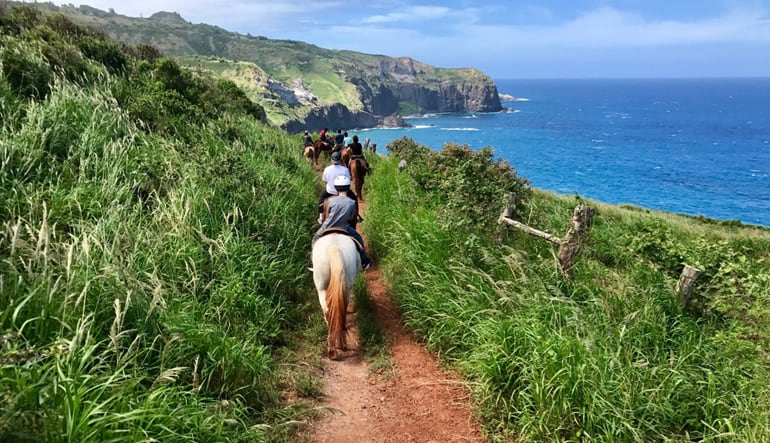 Horseback Riding Maui
