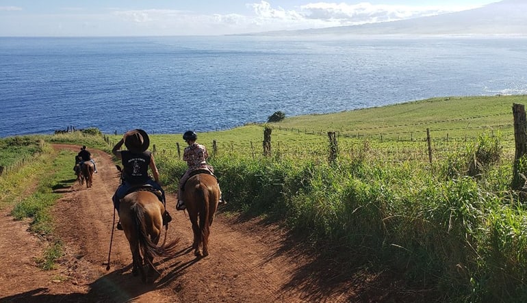 Horseback Riding Maui