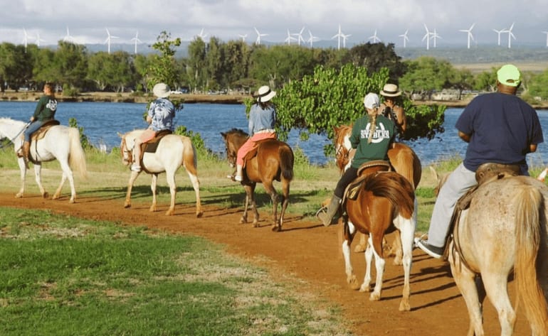 Oceanfront Horseback Riding Tour North Shore Oahu - 45 Minutes