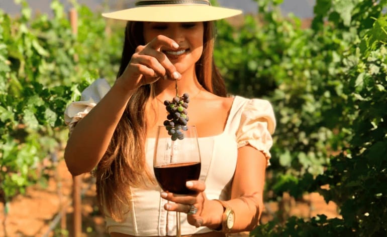 Maglén Resort Wine Tasting Package from Los Angeles - 3 Days 2 Nights