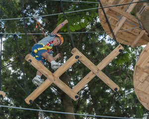 Tree Top Adventure Park Central Coast For Kids 3-9 | Adrenaline ...