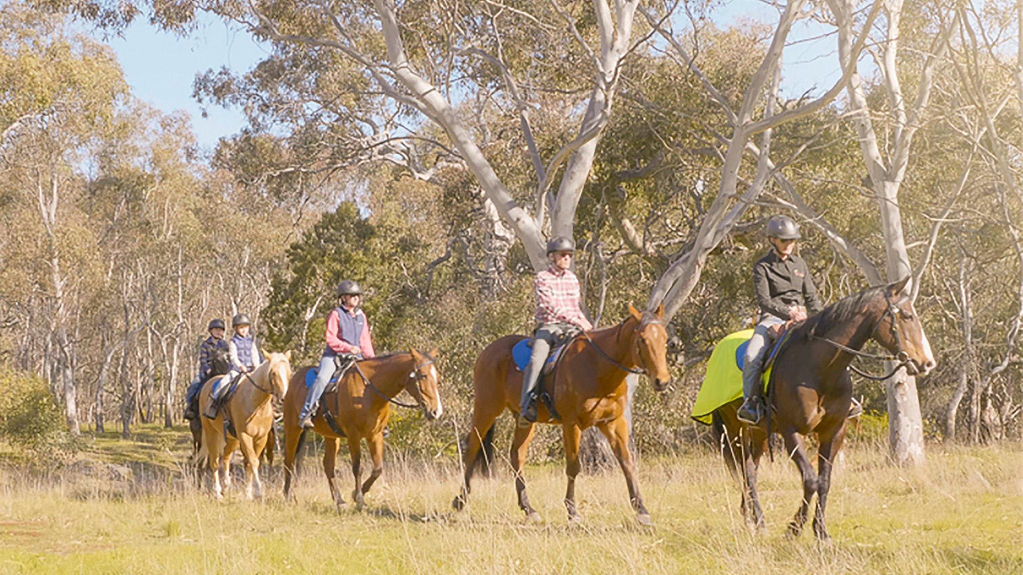 Horse Riding Tour, 2.5 Hours - Melbourne - Adrenaline