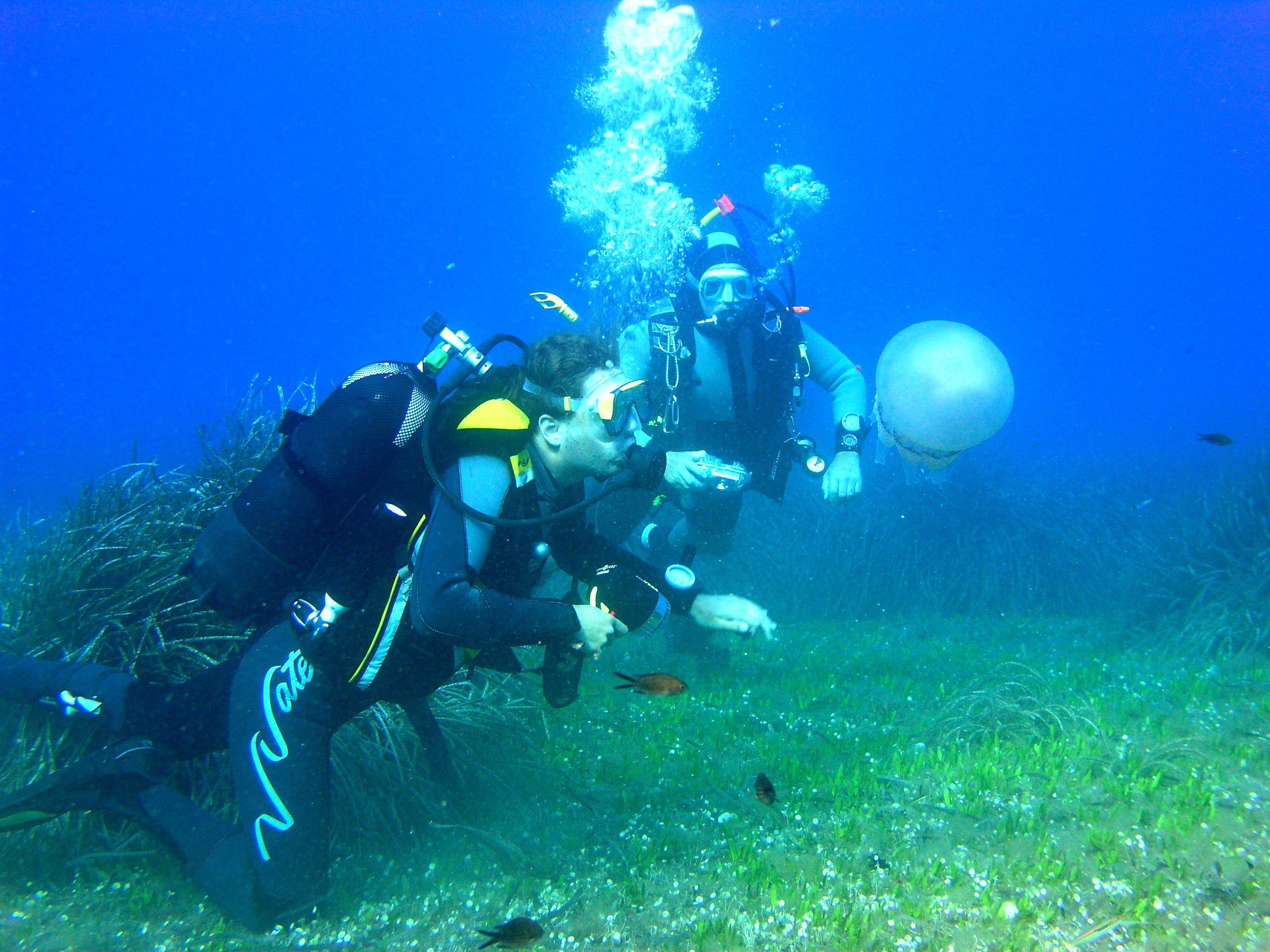 Introduction to Scuba Diving, 3 Hours - Phillip Island - For 2 - Adrenaline