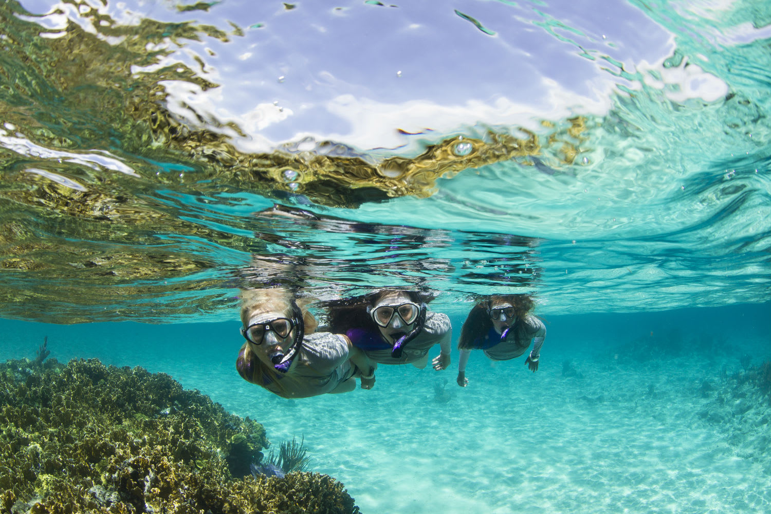 Snorkel Tour, Half Day – Sydney - Adrenaline