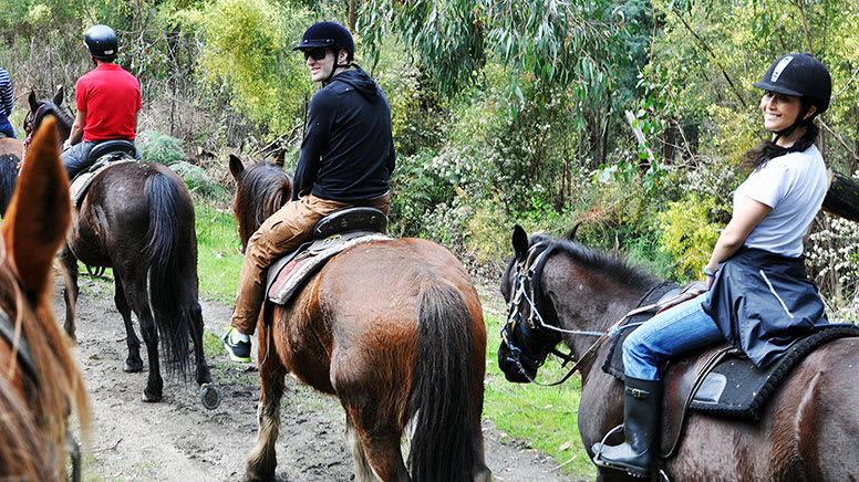 Private 1 Hour Horse Riding Lesson and 2 Hour Ride - Bunyip State Park ...