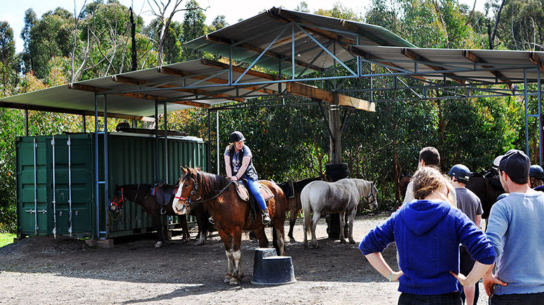 Horse Riding In Singapore And Malaysia The Best Stables