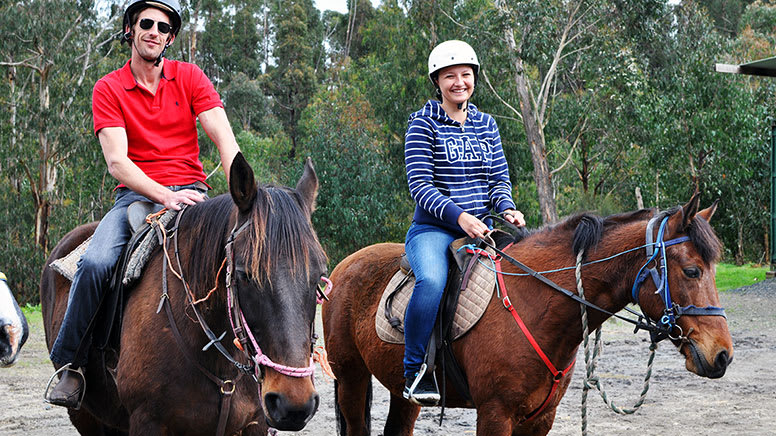 Private 1 Hour Horse Riding Lesson and 2 Hour Ride - Bunyip State Park ...