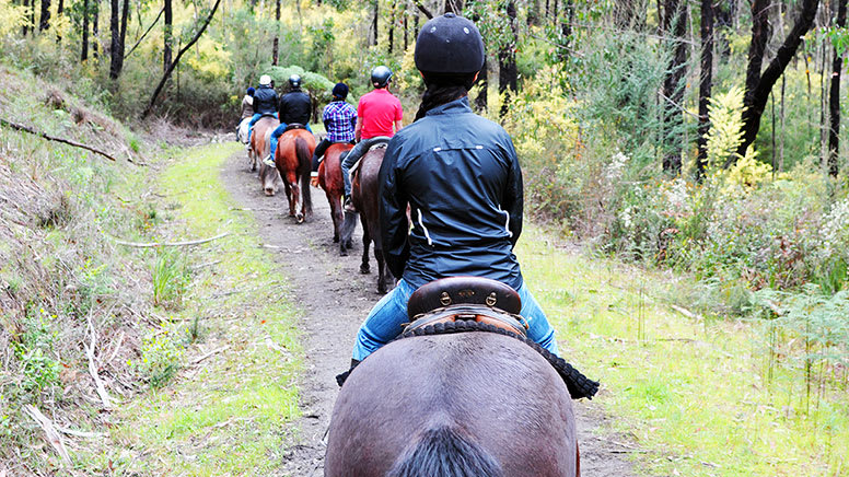 Private 1 Hour Horse Riding Lesson and 2 Hour Ride - Bunyip State Park ... Private 1 Hour Horse Riding Lesson and 2 Hour Ride - Bunyip State Park ...