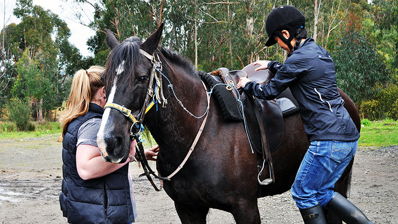 Private 1 Hour Horse Riding Lesson and 2 Hour Ride - Bunyip State Park ...