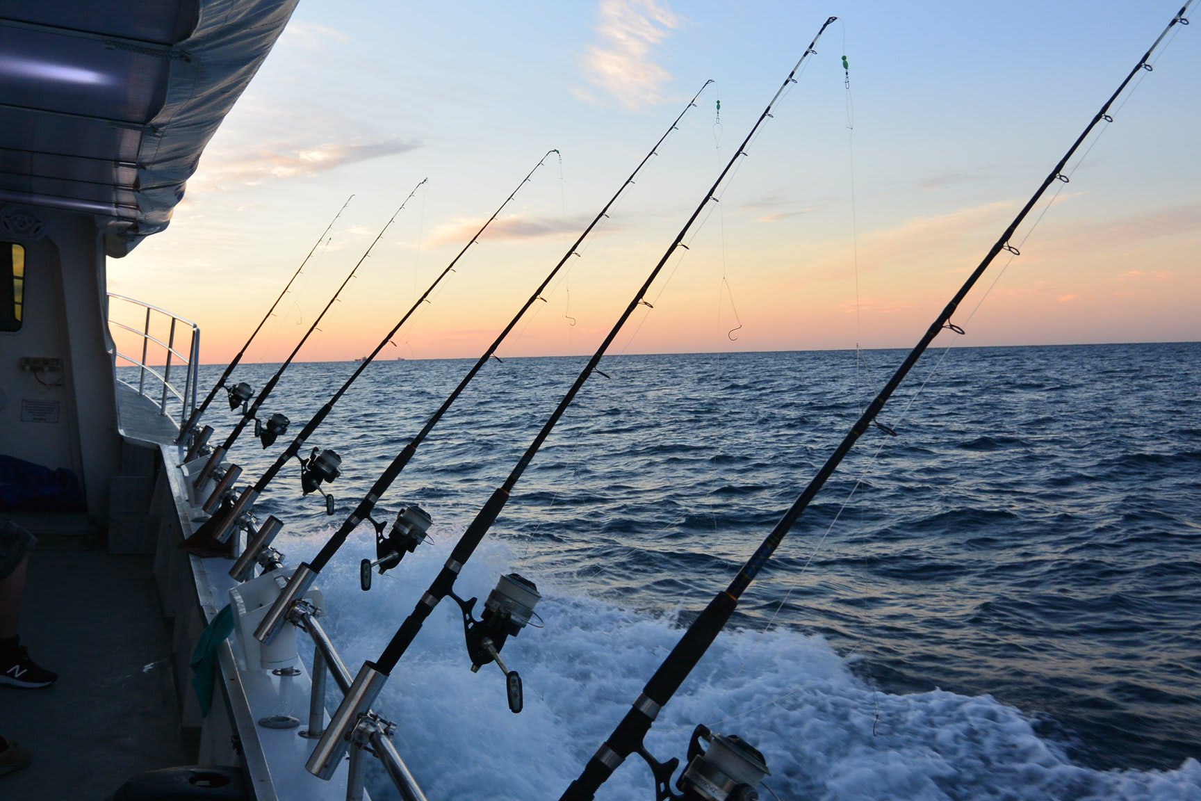 Deep Sea Fishing Trip, Half Day - Sunshine Coast - Adrenaline
