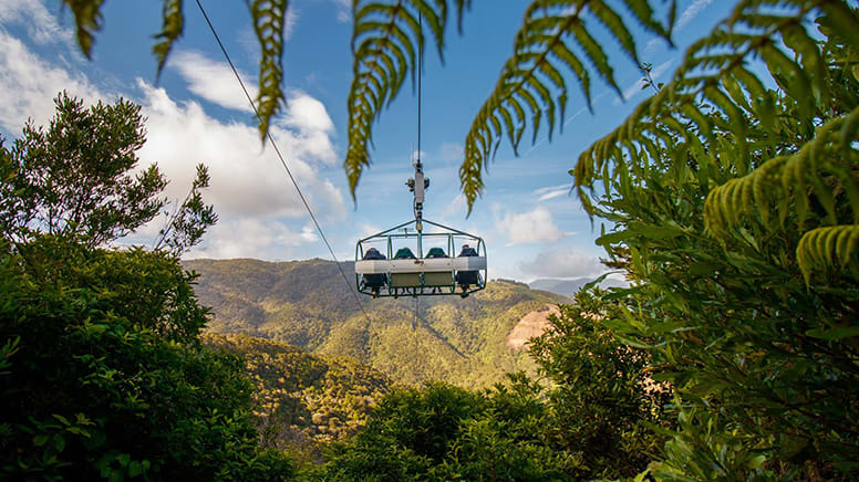 Skywire Flying Fox Experience - Nelson, New Zealand - Adrenaline