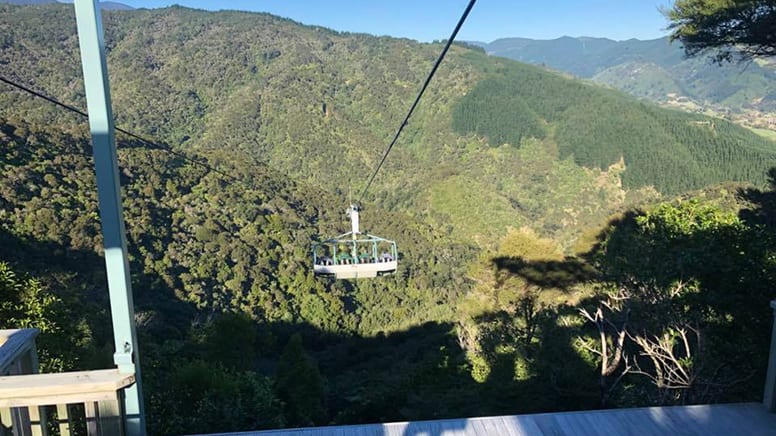 Skywire Flying Fox Experience - Nelson, New Zealand - Adrenaline