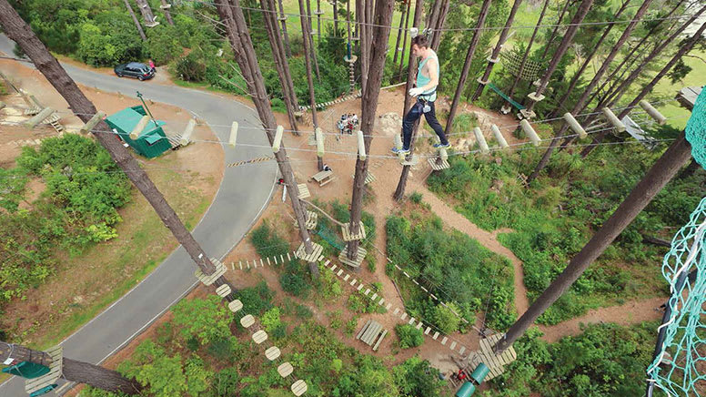 Forest High Ropes and Ziplining Adventure - Tauranga - Adrenaline