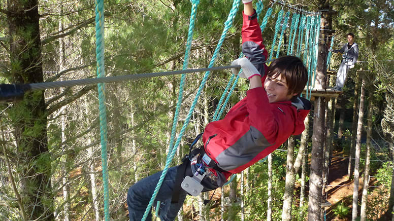 Forest High Ropes and Ziplining Adventure - Tauranga - Adrenaline