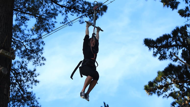 Forest High Ropes and Ziplining Adventure - Tauranga - Adrenaline