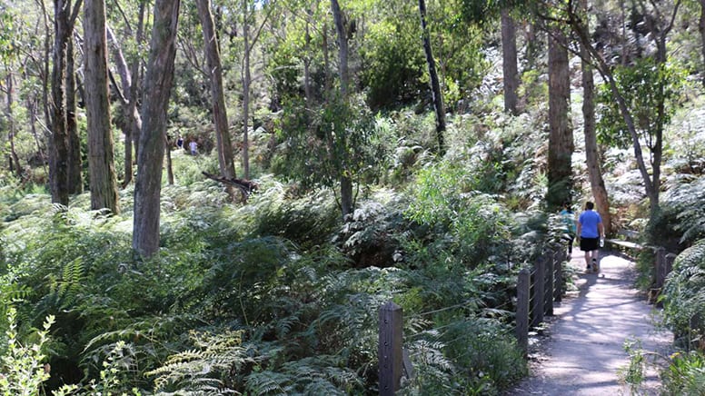 Mount Lofty Self-Guided Hike, 3 Hours - Departs Adelaide - Adrenaline