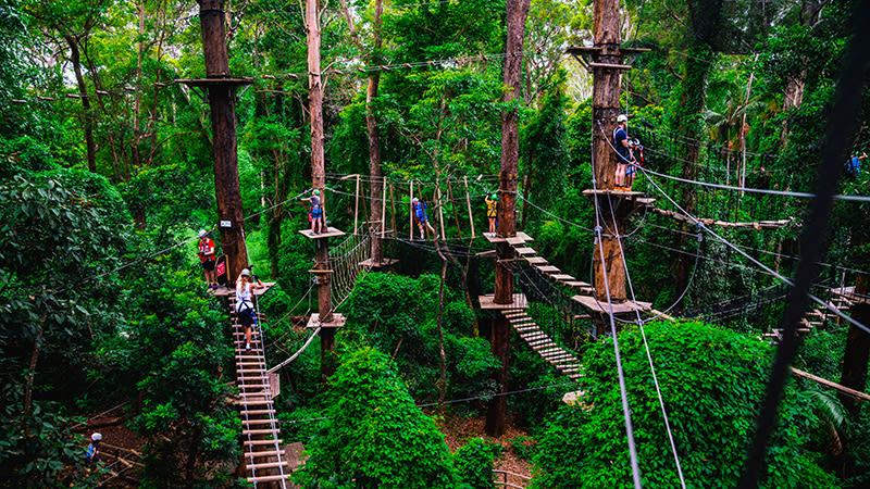 High Ropes & Flying Fox Adventure - Sunshine Coast - Adrenaline