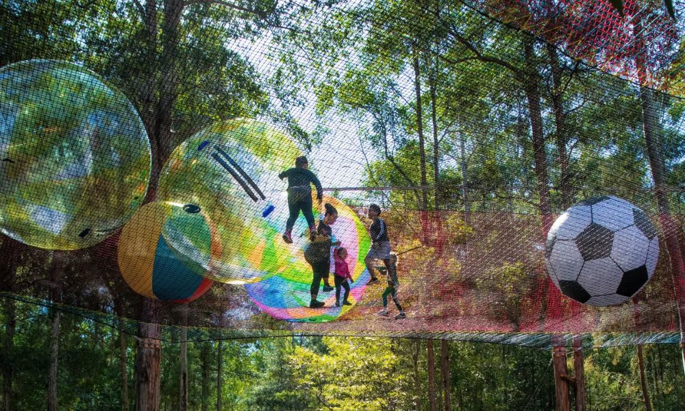 Treetops Networld Adventure - 2 Hours - Central Coast - Adrenaline