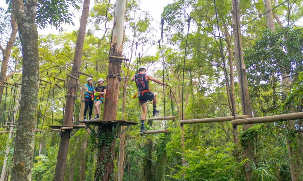 High Ropes & Flying Fox Adventure - Sunshine Coast - Adrenaline