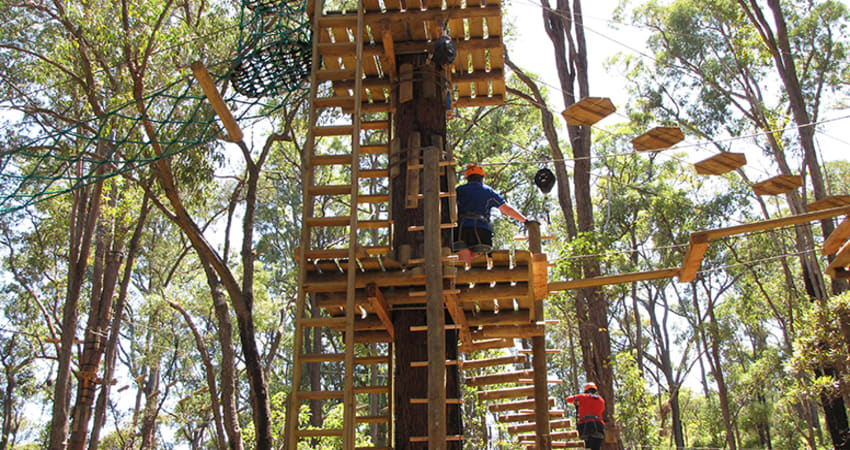 Treetop Ropes Course with Ziplining - Adrenaline