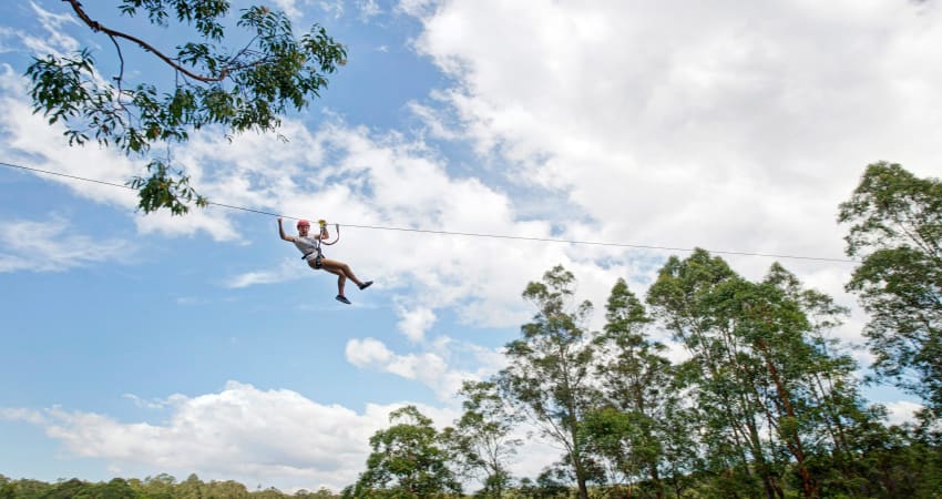High Ropes Climbing Course with Flying Foxes - Coffs Harbour - Adrenaline