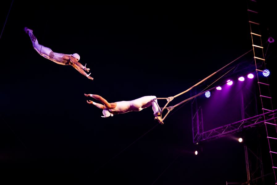 Circus Rio Entry Ticket - Adelaide - Adrenaline