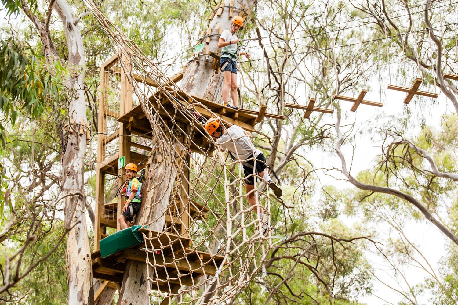 Aerial Adventure Park Course, 2 Hours - Adrenaline