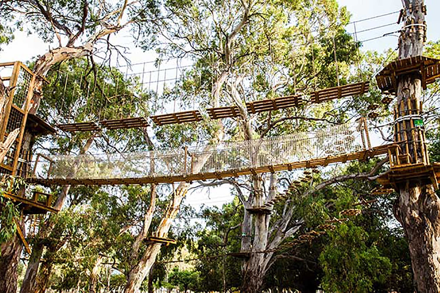 Aerial Adventure Park Course, 2 Hours - Adrenaline