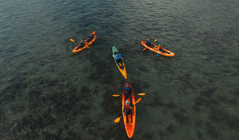 Guided Kayak Tour from Palm Cove to Double Island - Cairns - Adrenaline
