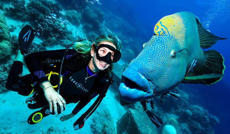 Scuba Diving Tour for Non-Certified Divers, Full Day - Great Barrier ...