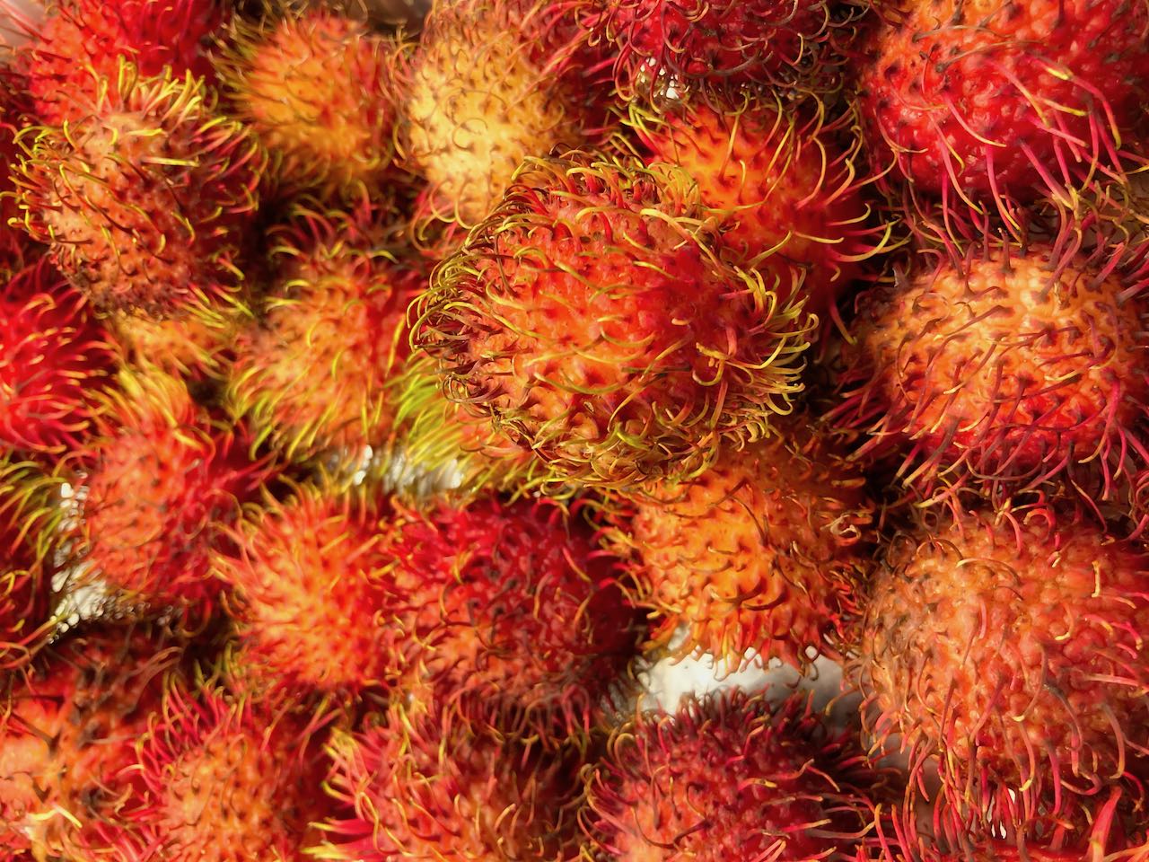 Why Rambutan Is The Retinol Alternative You’re About To See Everywhere ...