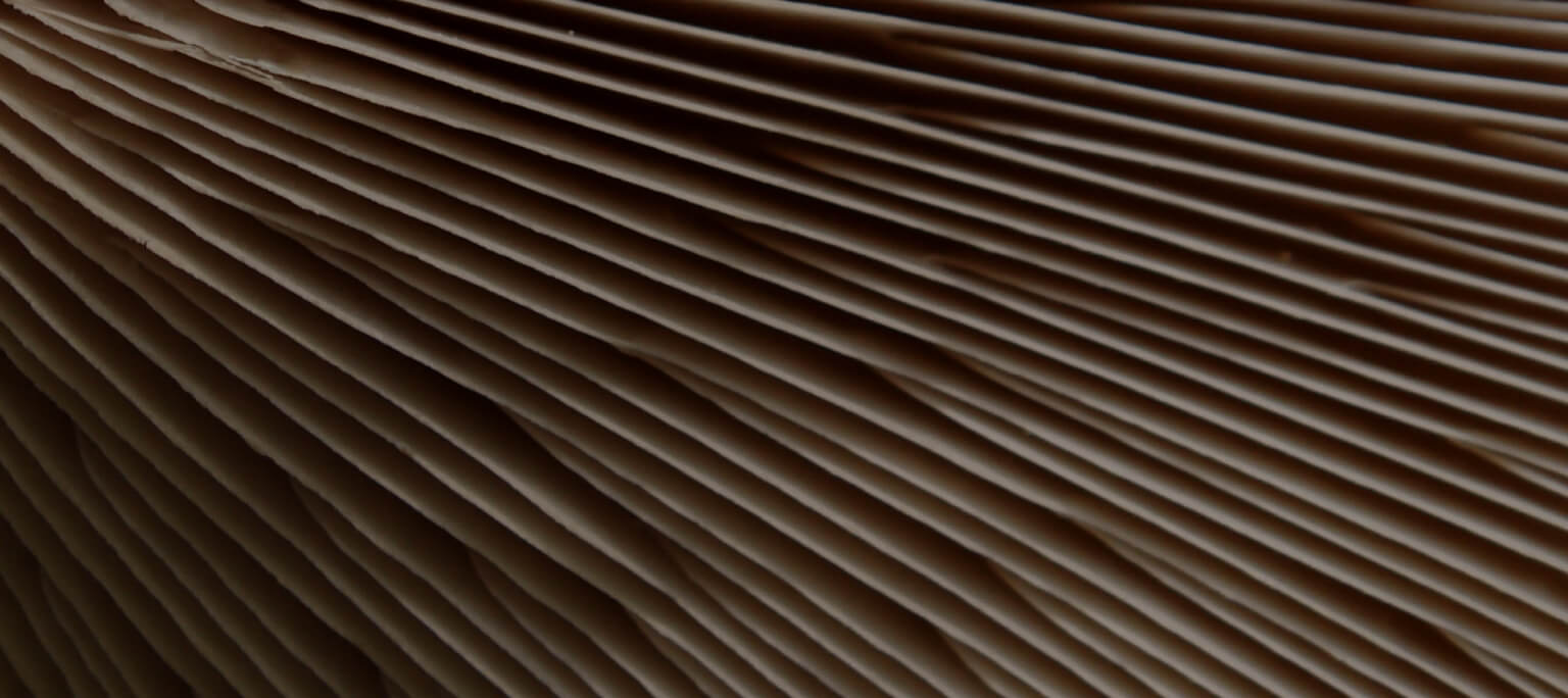 Overcrowding Overview - Causes, Treatment Options, and More | AEDIT