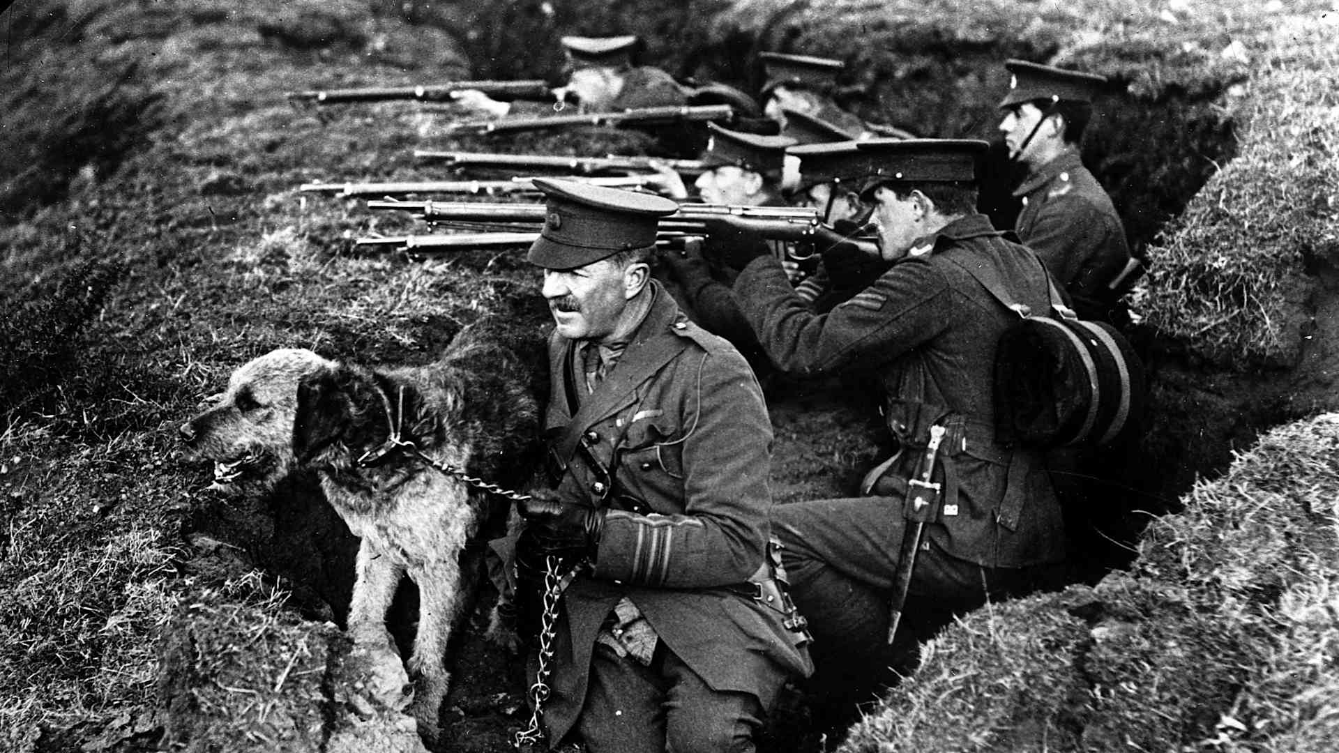 26 Photos of Dogs Being Heroes in WWI | HISTORY