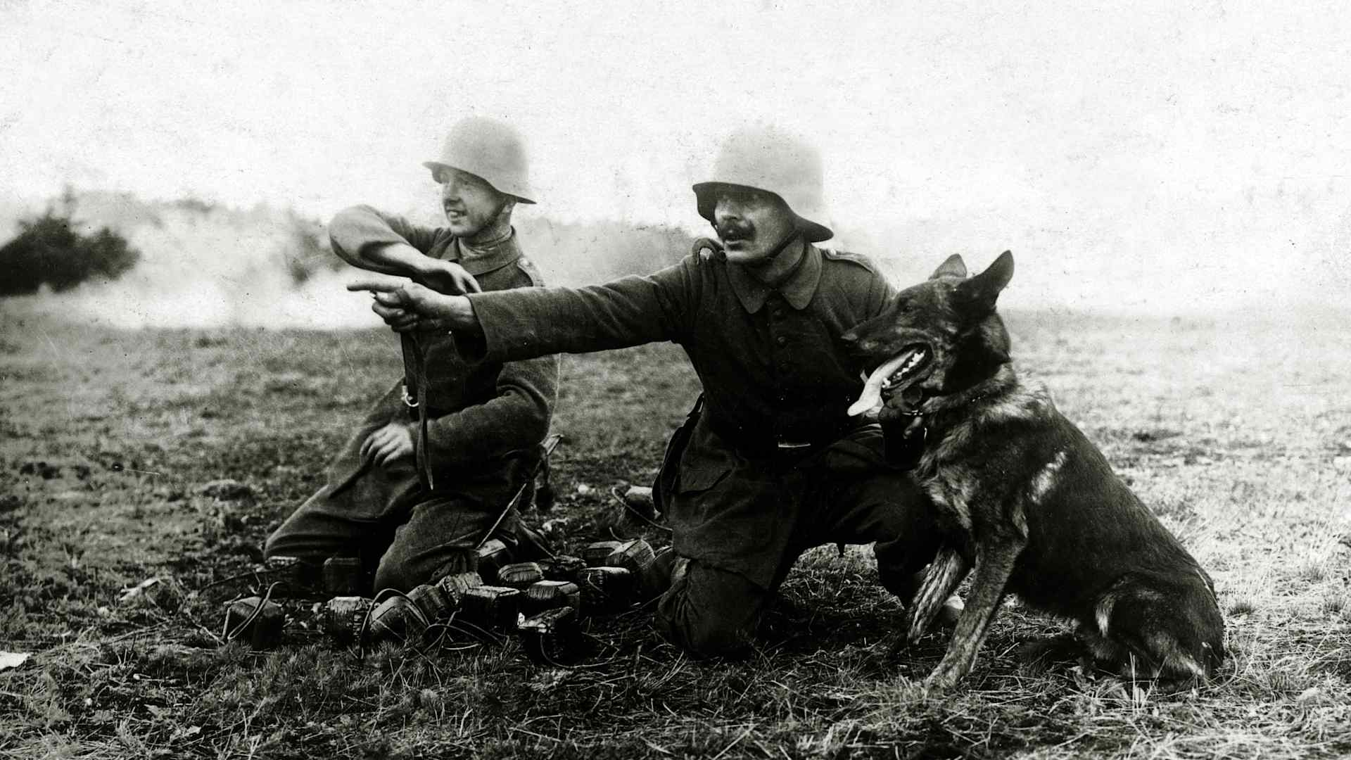 “Lucky: A Soldier’s Unlikely Companion” – New and Tips