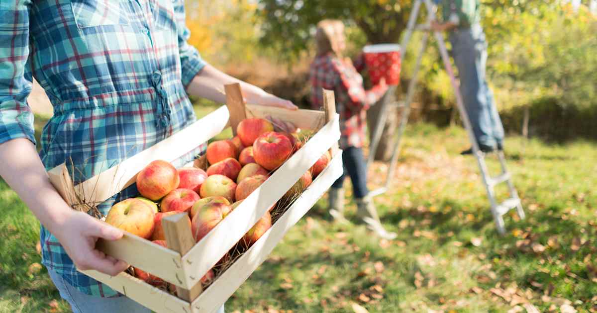 The Surprising History of September