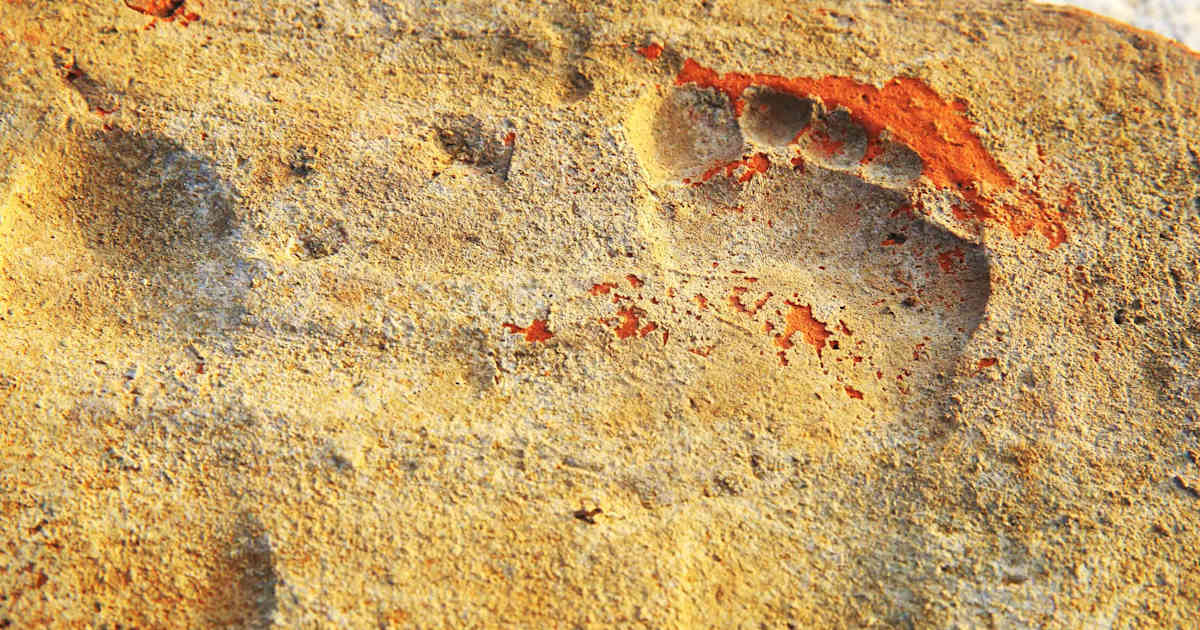 Where Are the Oldest Footprints in the World?