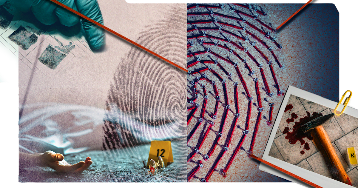 Crime Solving & Forensics | A&E
