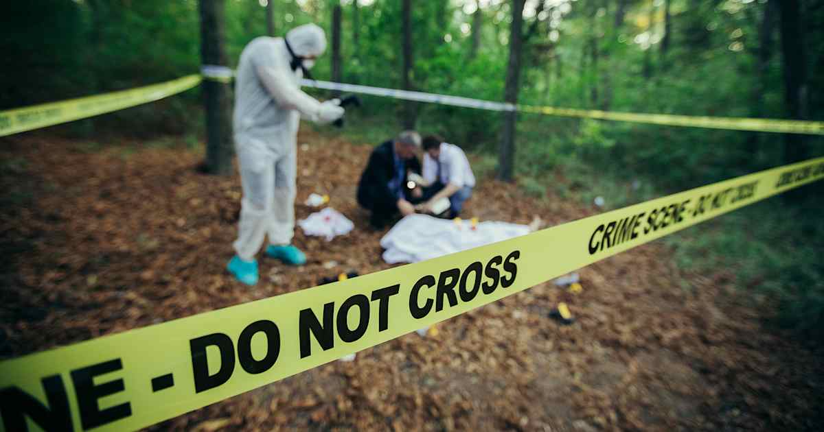 Why It's OK to Leave Dead Bodies in the Woods, and Other ...