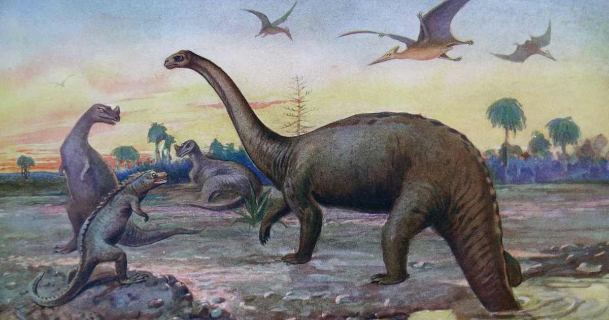 When Did Humans First Discover Dinosaurs? | HISTORY