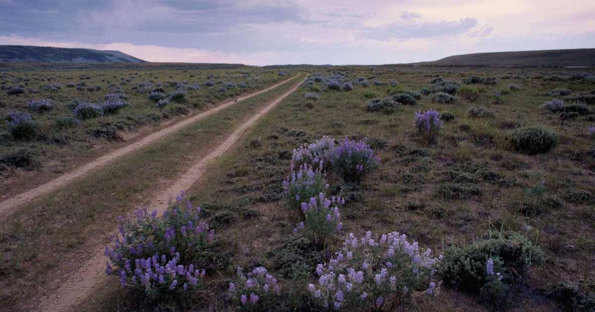 Oregon Trail: History, Length, Start, Deaths & Map | HISTORY