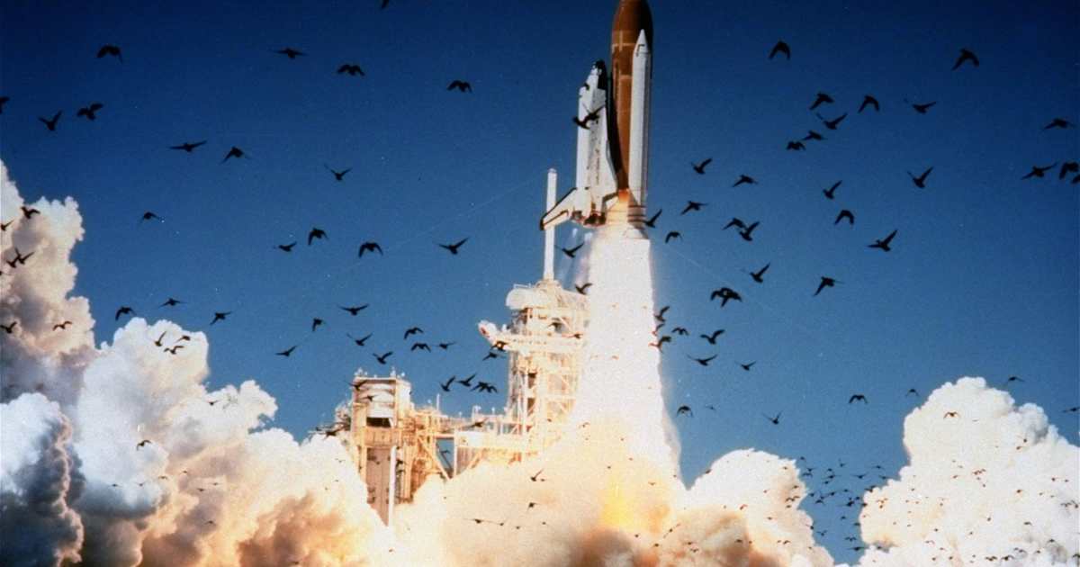 What Caused the Challenger Disaster? | HISTORY