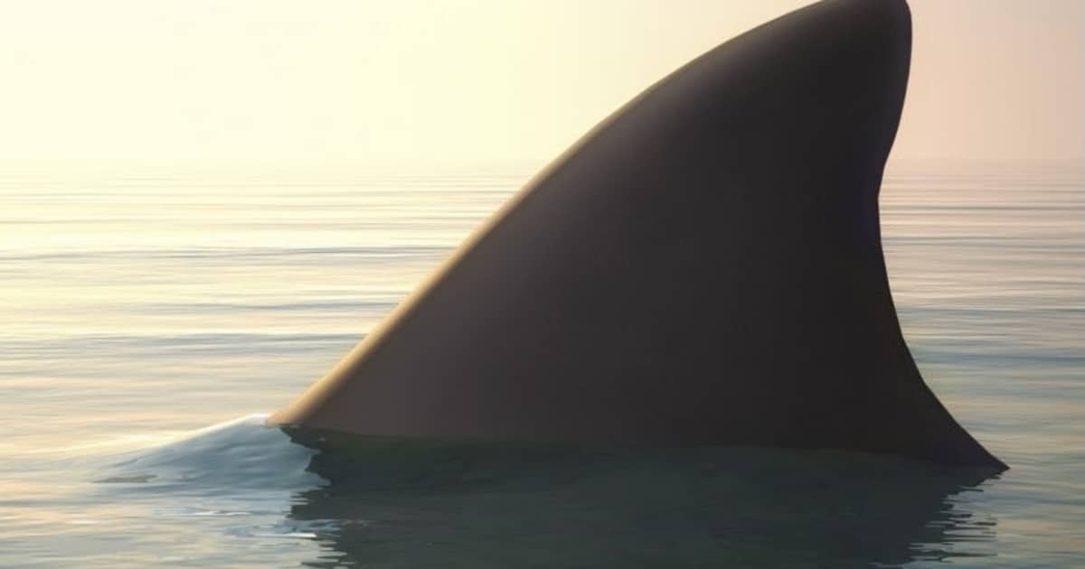 The Real-Life 'Jaws' That Terrorized the Jersey Shore