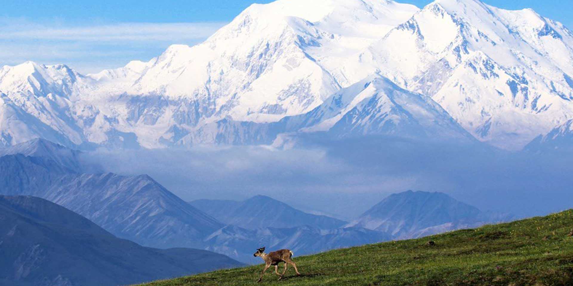 Why the Name of Alaska's Peak Changed From Mt. McKinley to Denali | HISTORY