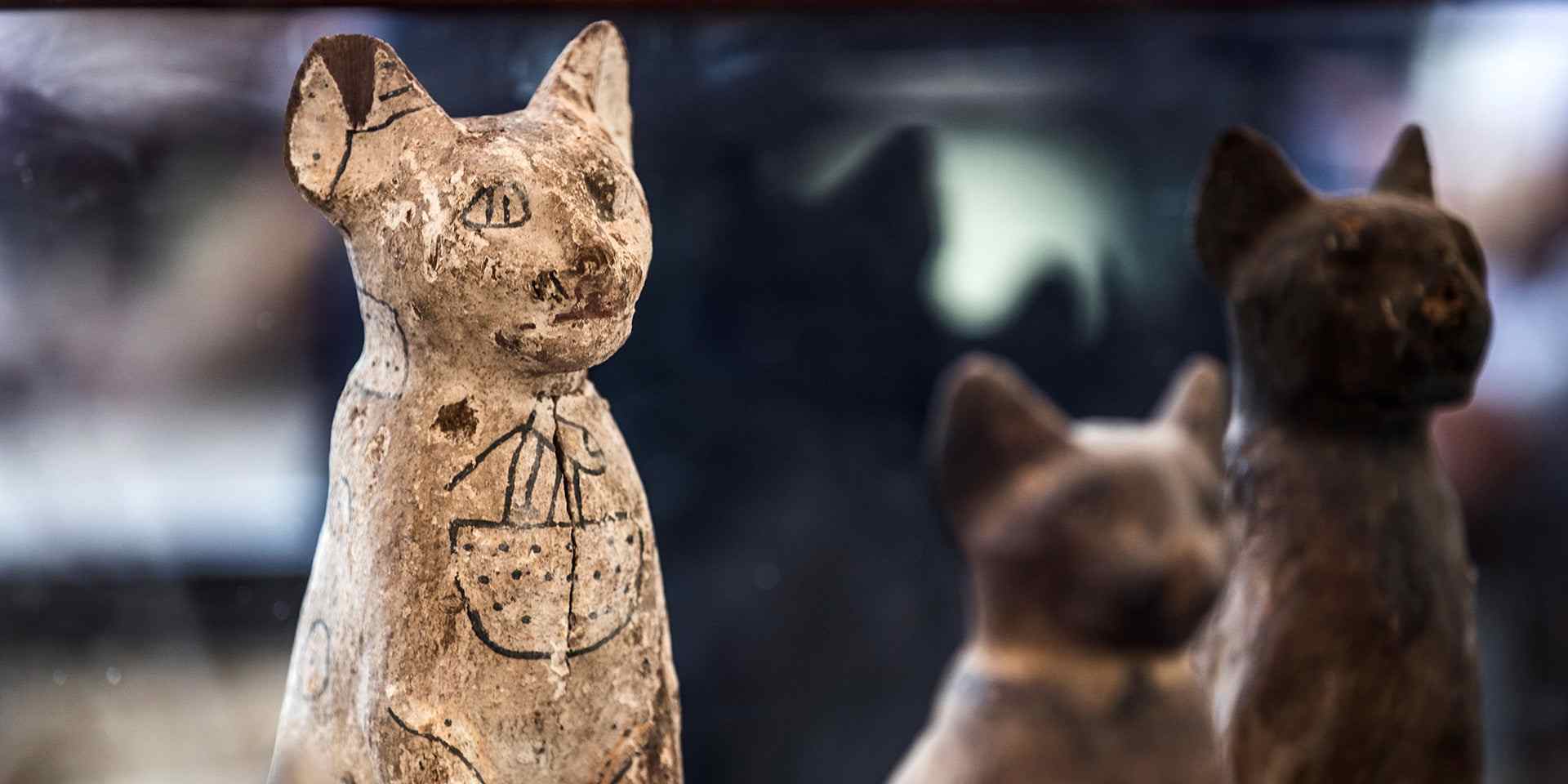 How Cats Became Divine Symbols in Ancient Egypt | HISTORY