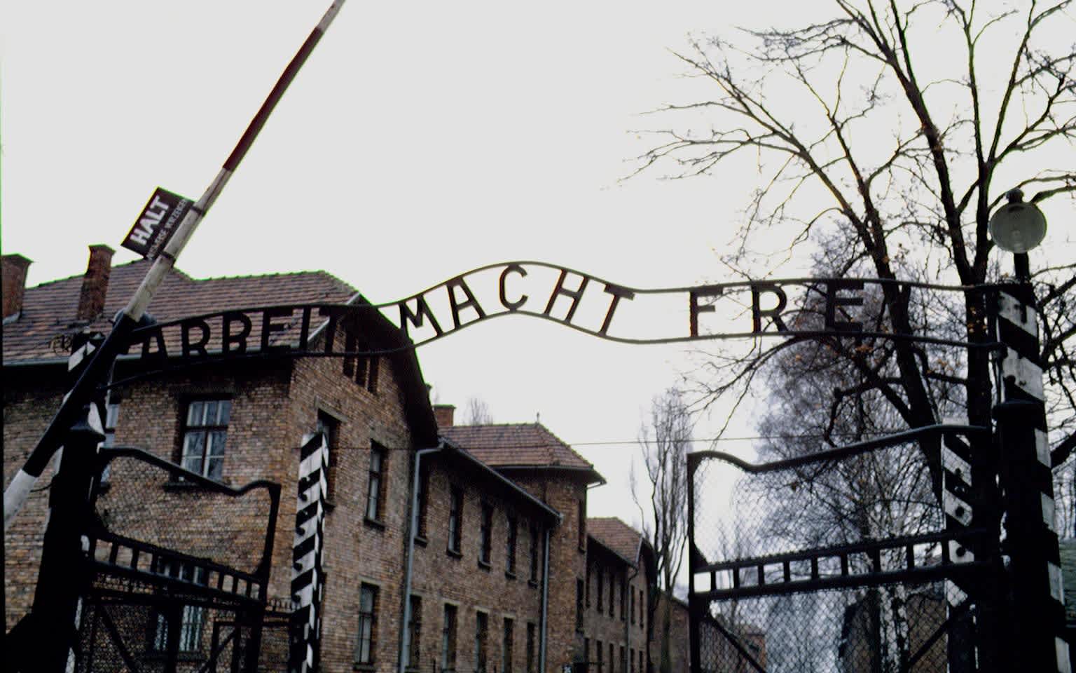 This Auschwitz Doctor Saved Women’s Lives Was Also a Fellow Inmate ...