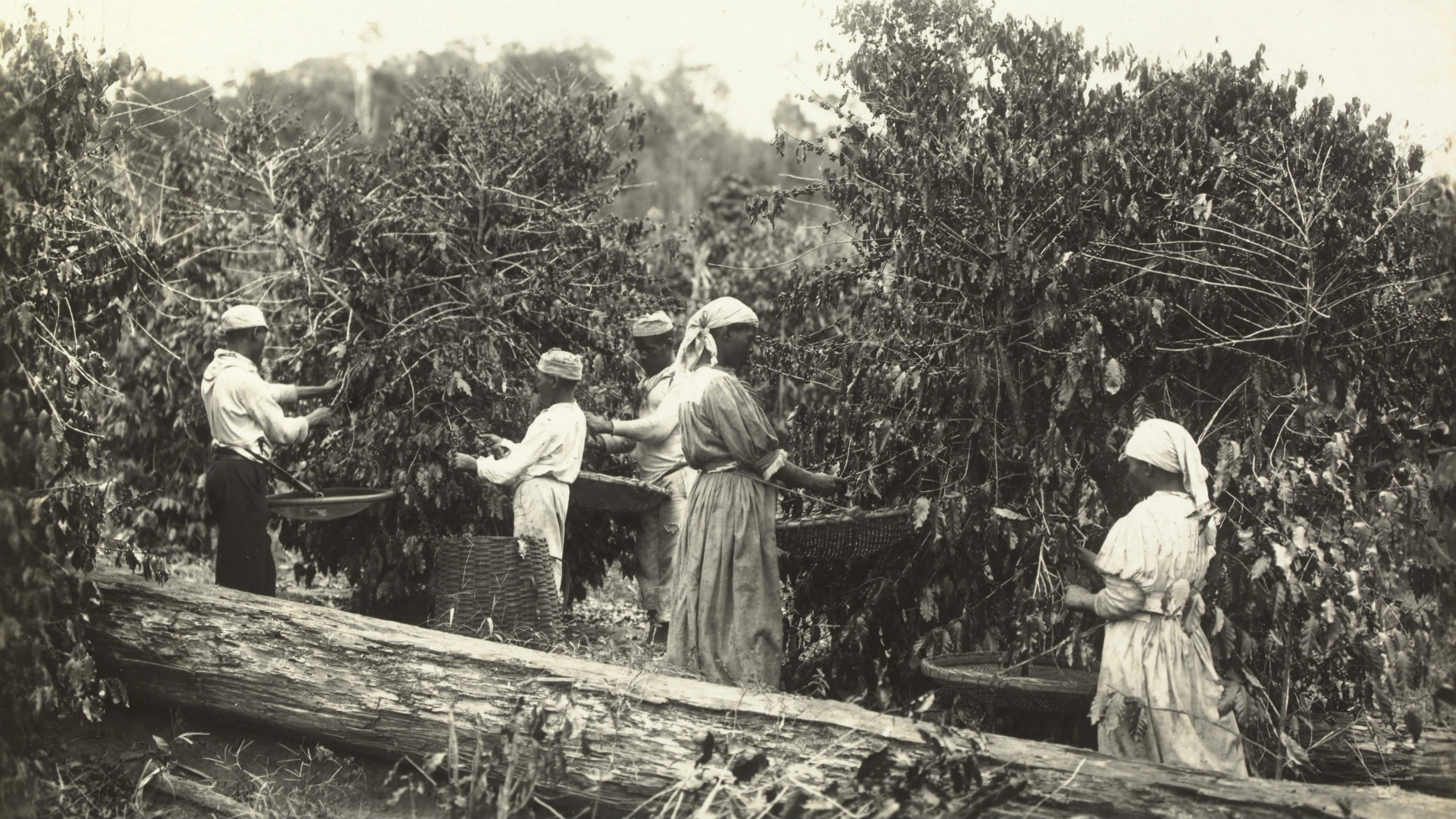 6 Ways Coffee Helped Transform the World | HISTORY