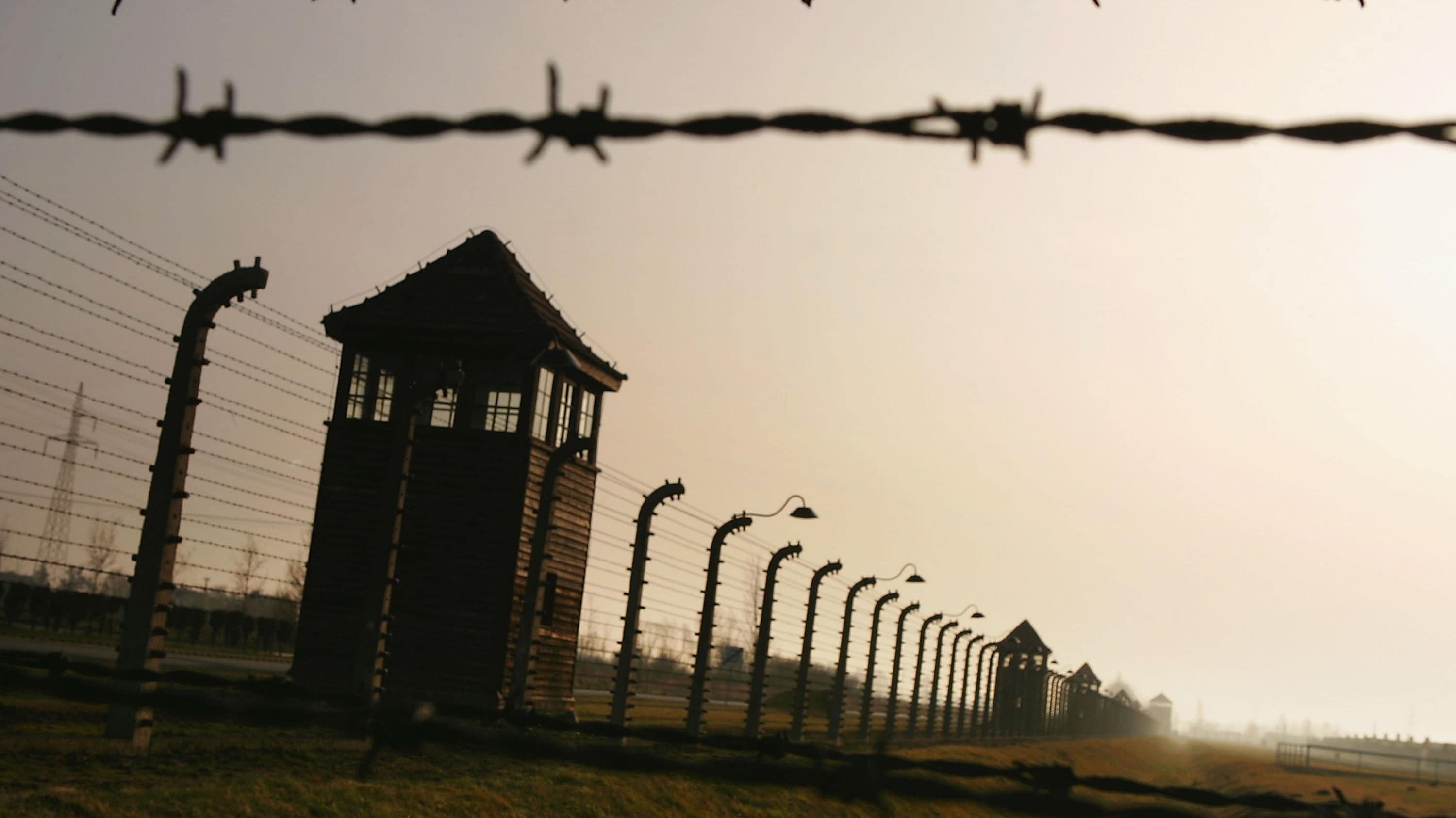 Holocaust: Definition, Remembrance & Meaning | HISTORY