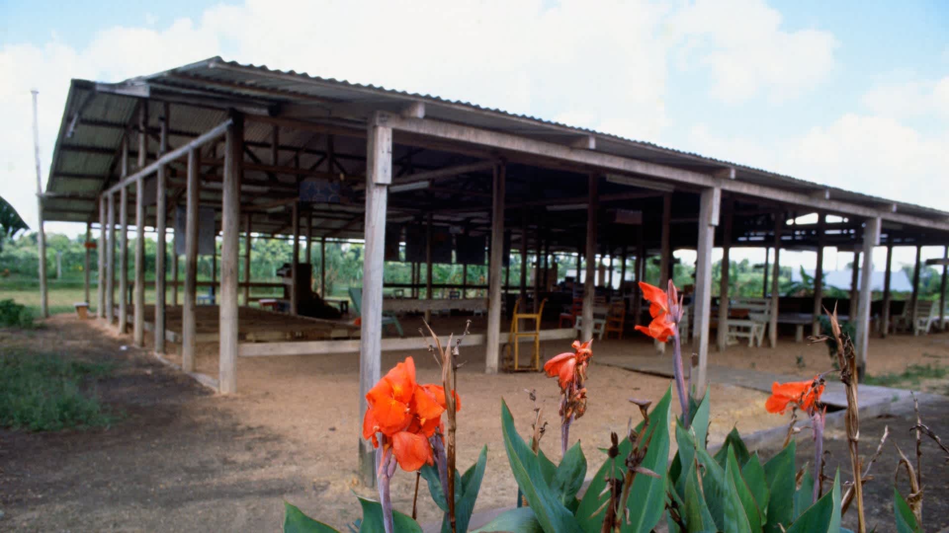 Jonestown - Massacre, Guyana & Cult | HISTORY