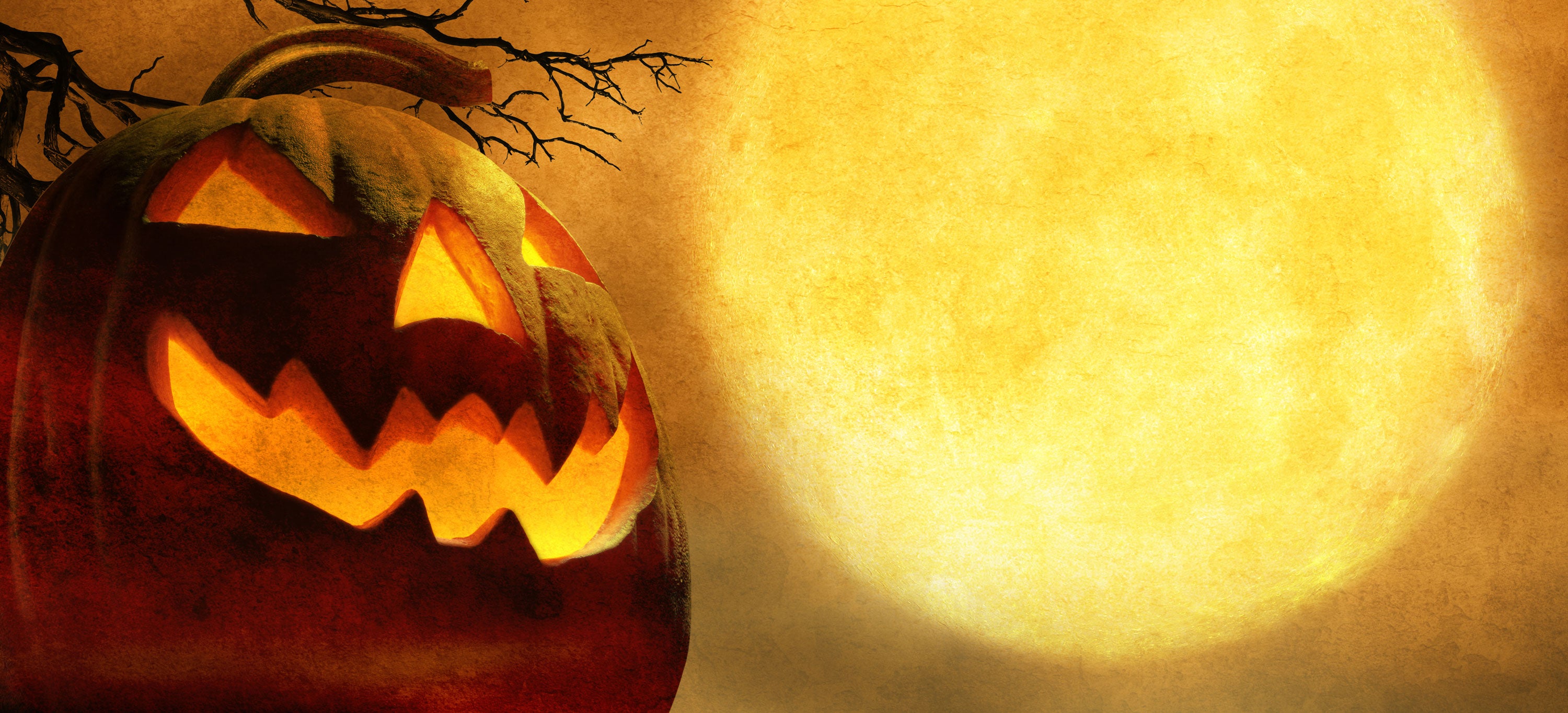 Aghaidheanna Jack Olantern Anita Grace Howard (@aghoward_writes)