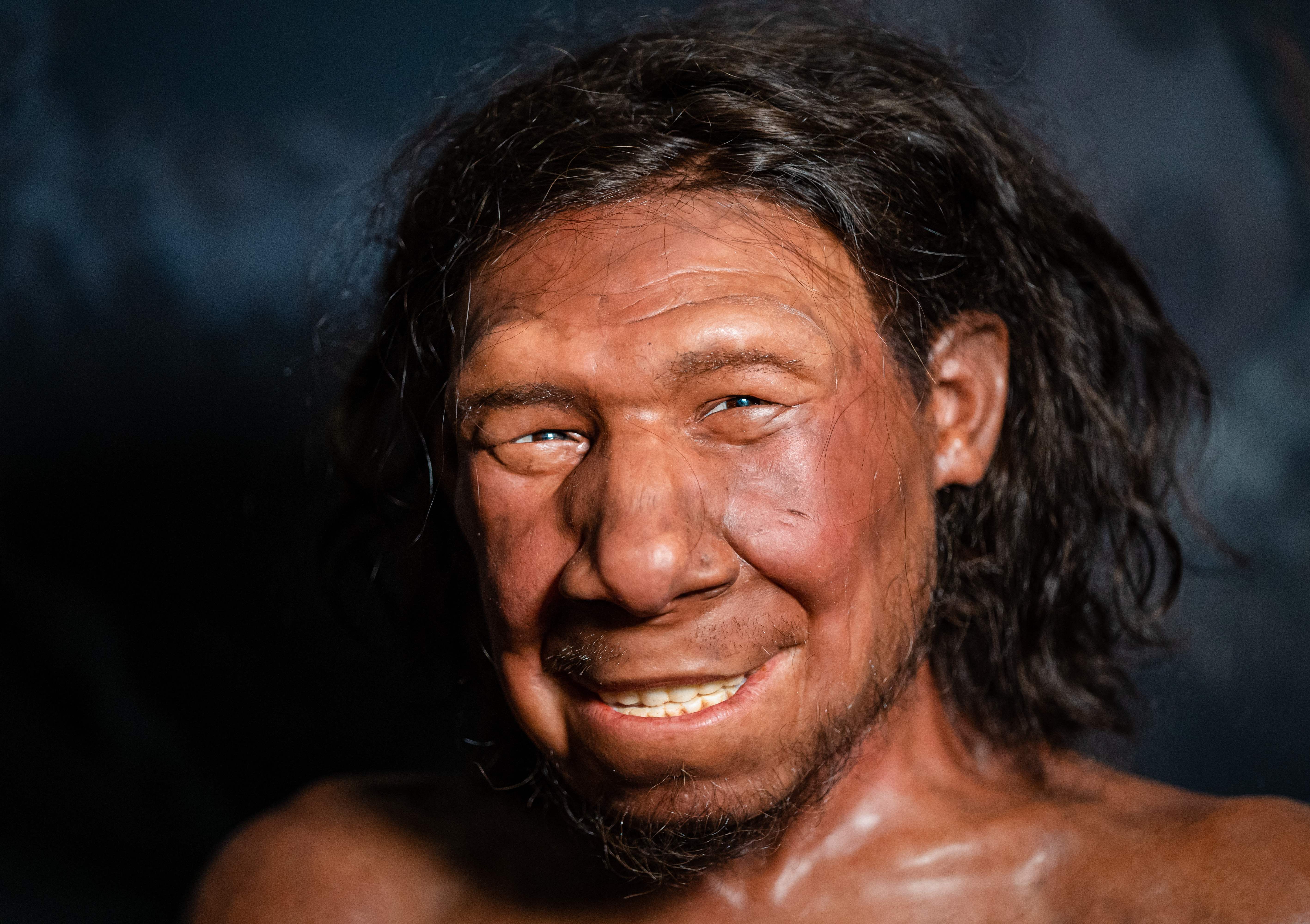 Going Paleo What Prehistoric Man Actually Ate History
